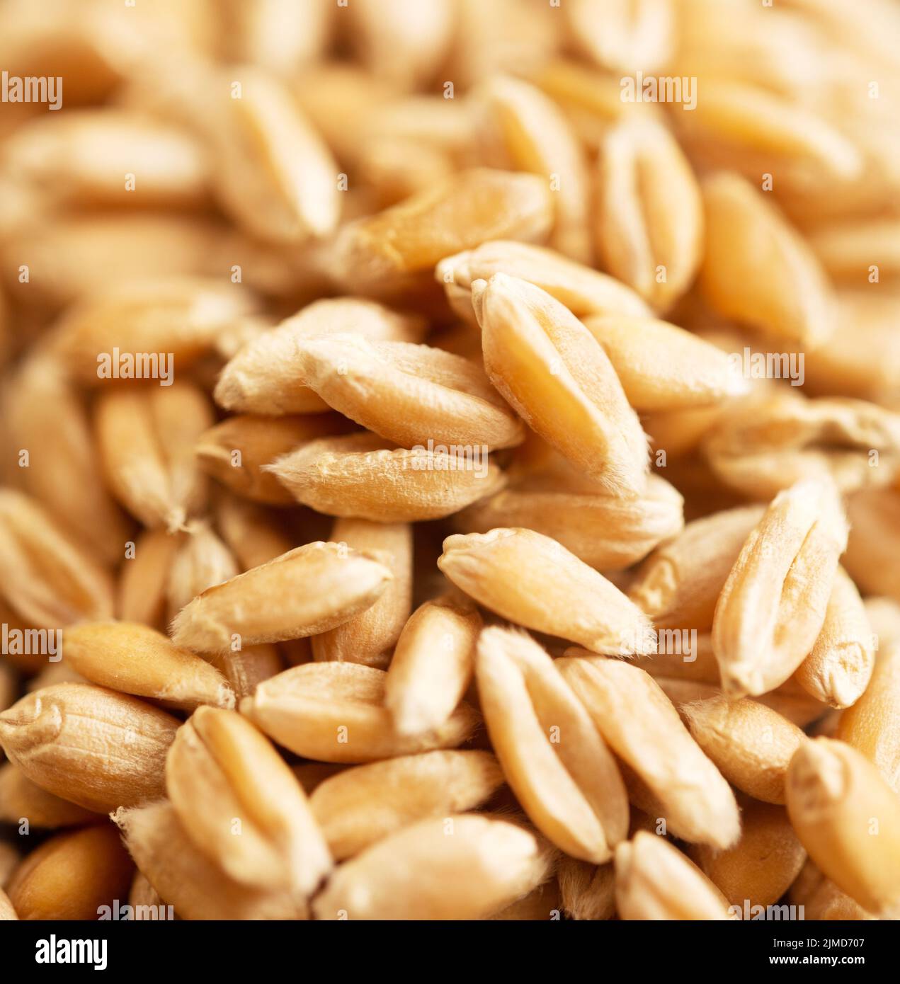 Particle grain hi-res stock photography and images - Alamy