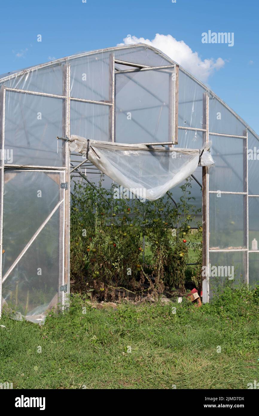 Open door on greenhouse hi-res stock photography and images - Alamy