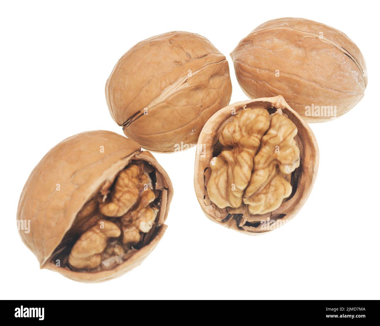 Walnut on white Stock Photo - Alamy