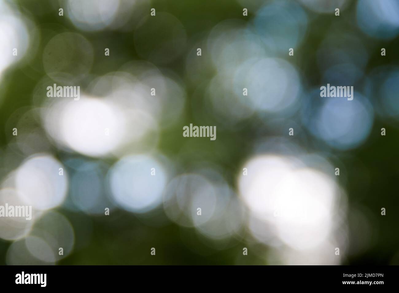 Green bokeh out of focus background from nature forest Stock Photo - Alamy