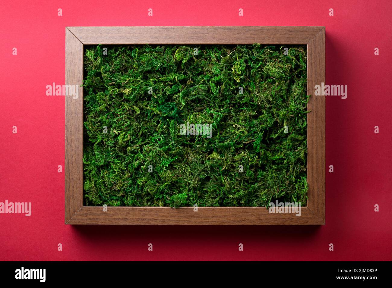 Wooden Frame With Green Moss Stock Photo - Alamy