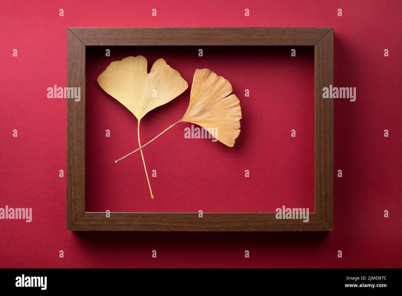 Natural minimal composition hi-res stock photography and images - Alamy