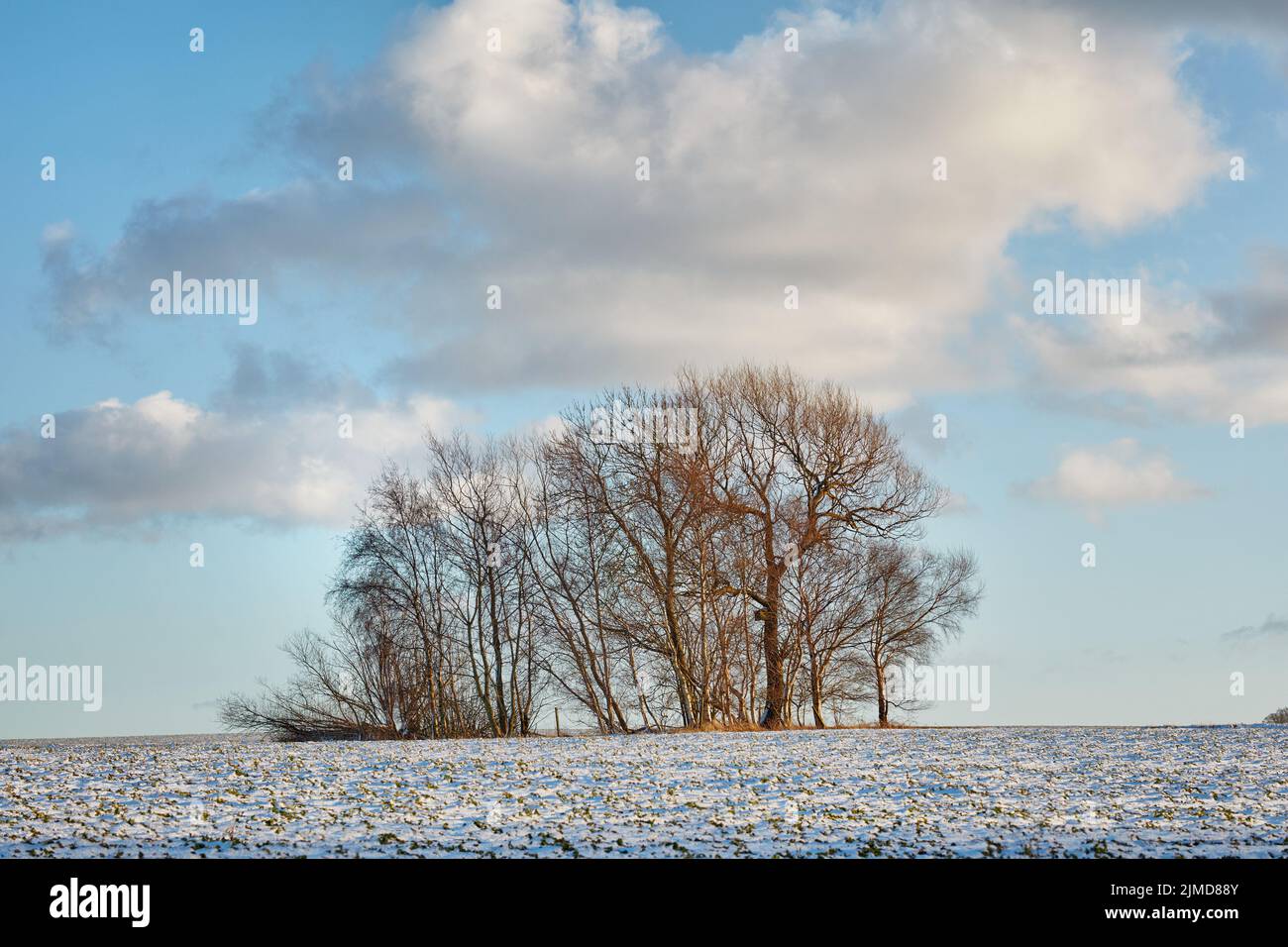 Wintertime - countryside in Denmark. Winter landscape on a sunny day ...