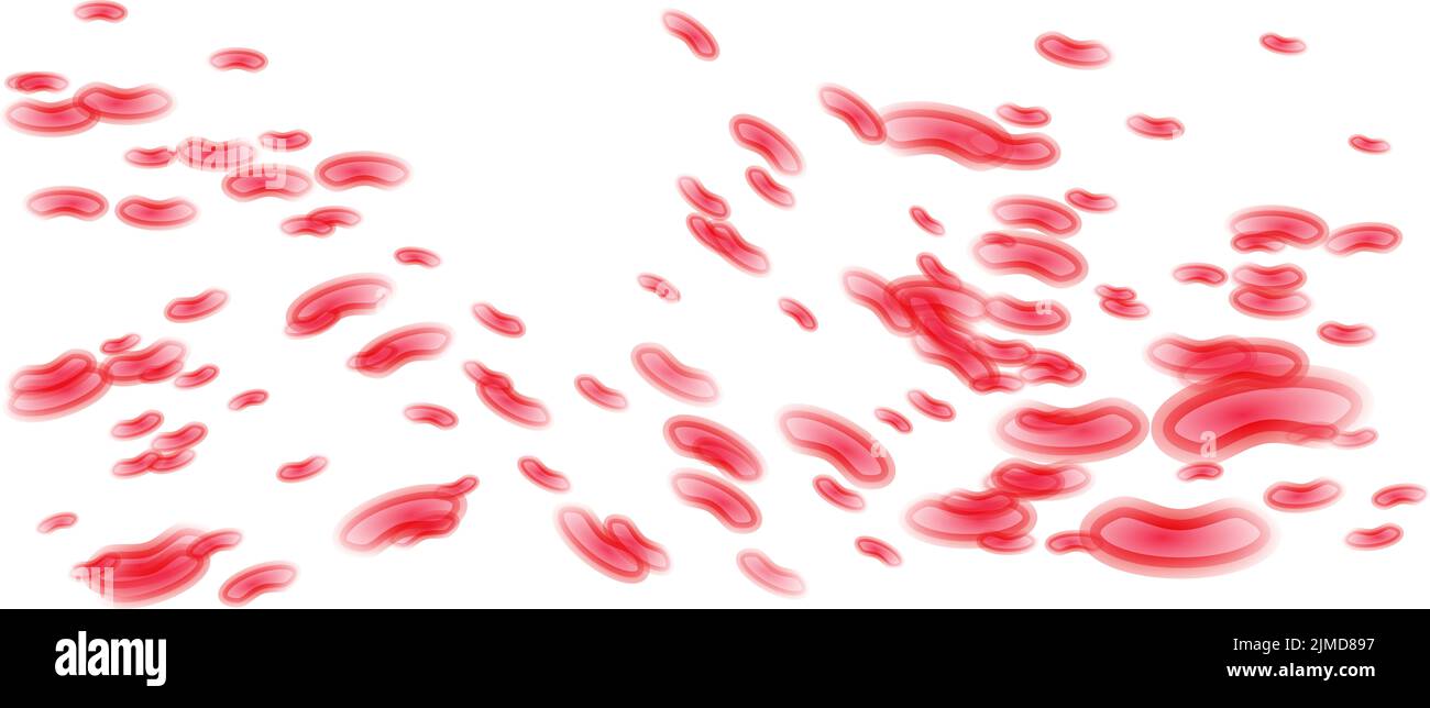 Blood cells, plasma, health, human, illustration Stock Photo - Alamy