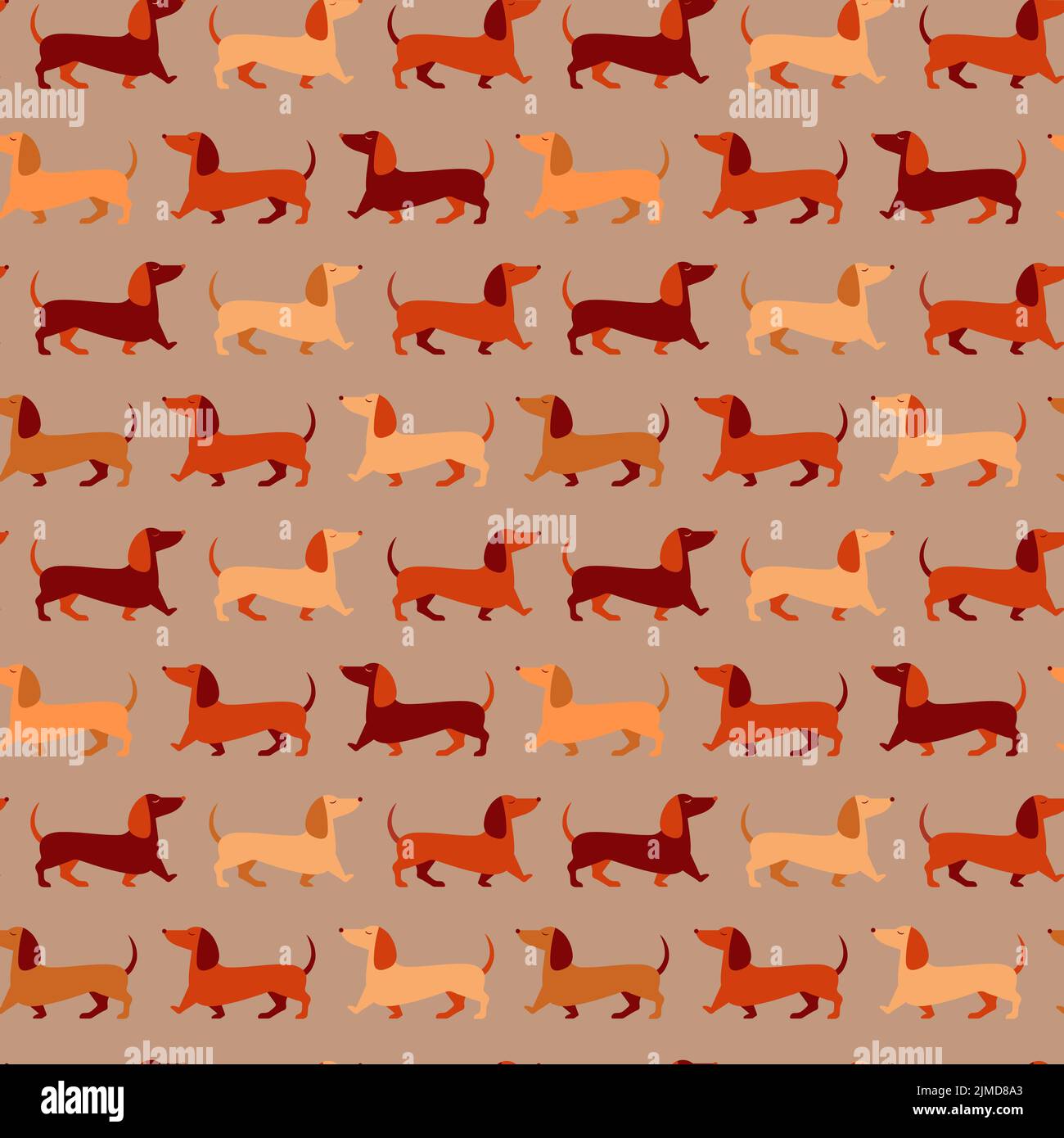 Dachshund sausage dog on Stock Vector Images - Alamy