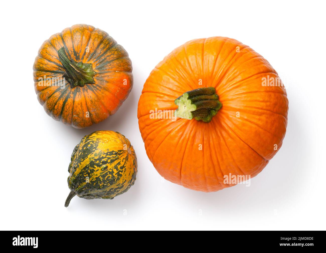 Top view fresh pumpkins hi-res stock photography and images - Alamy