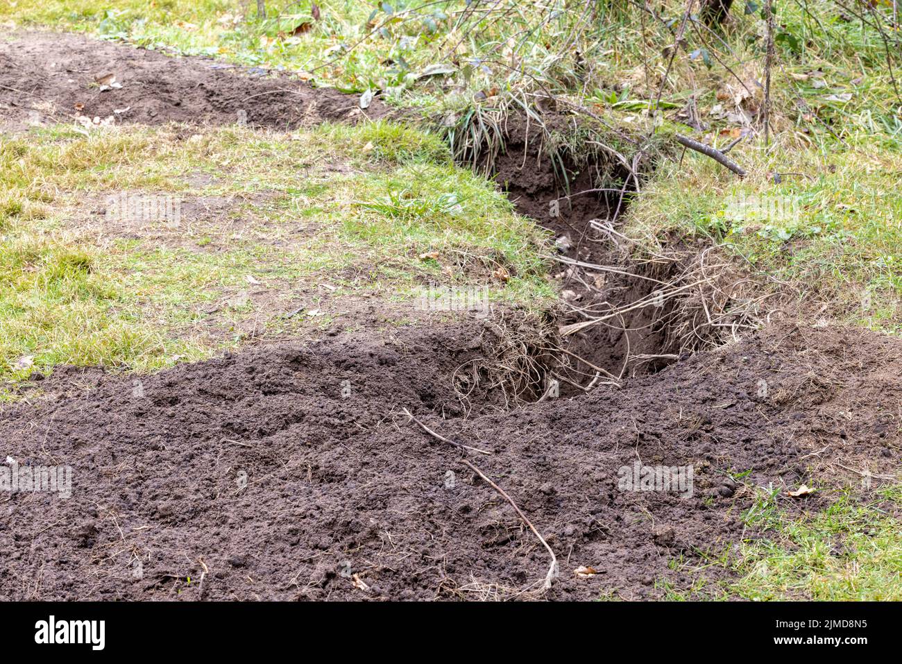 Wombat hole hi-res stock photography and images - Alamy