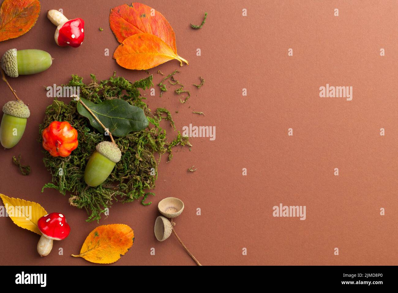 Composition With Autumn Symbols Stock Photo - Alamy