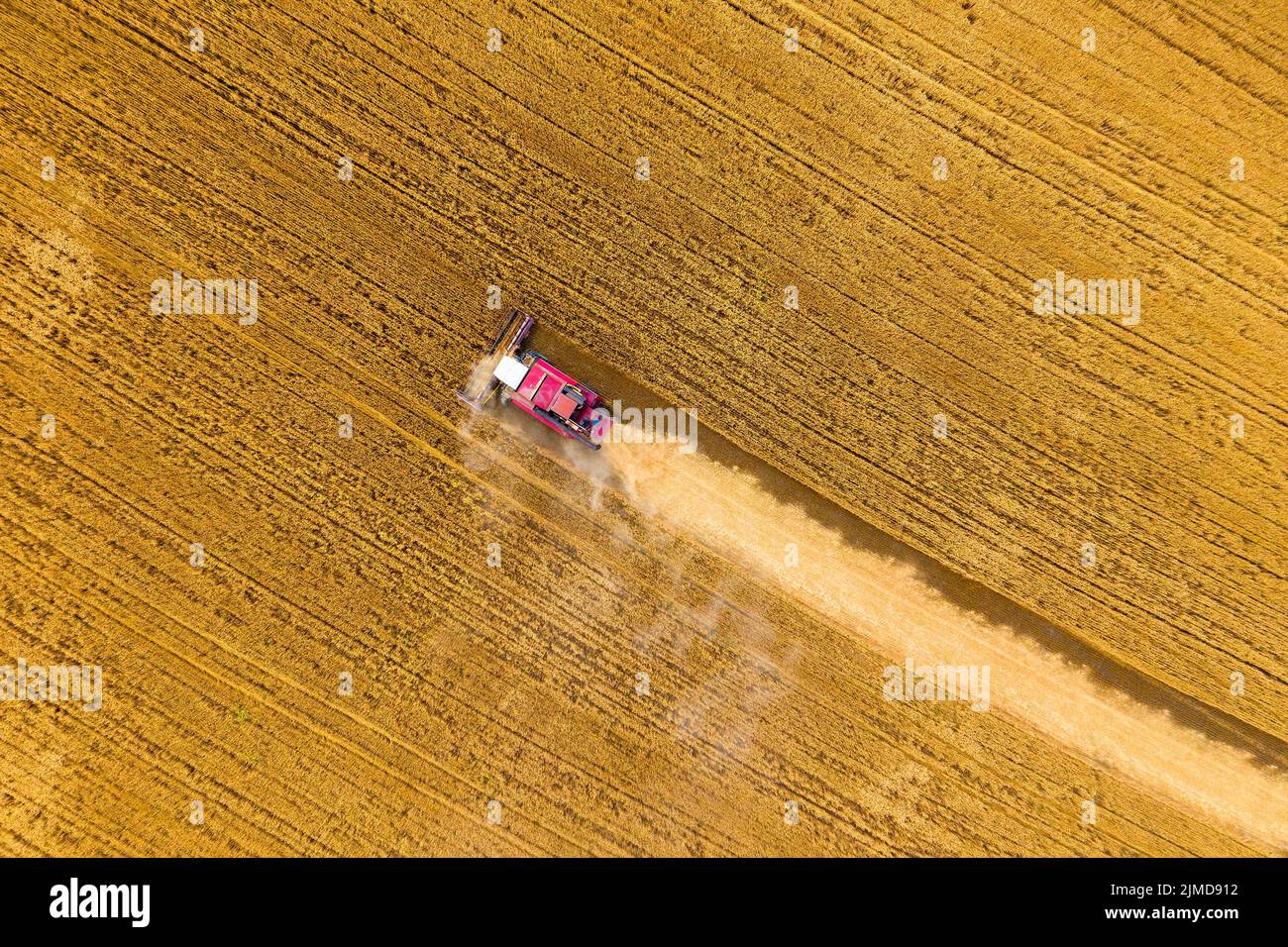 On harvest hi-res stock photography and images - Alamy