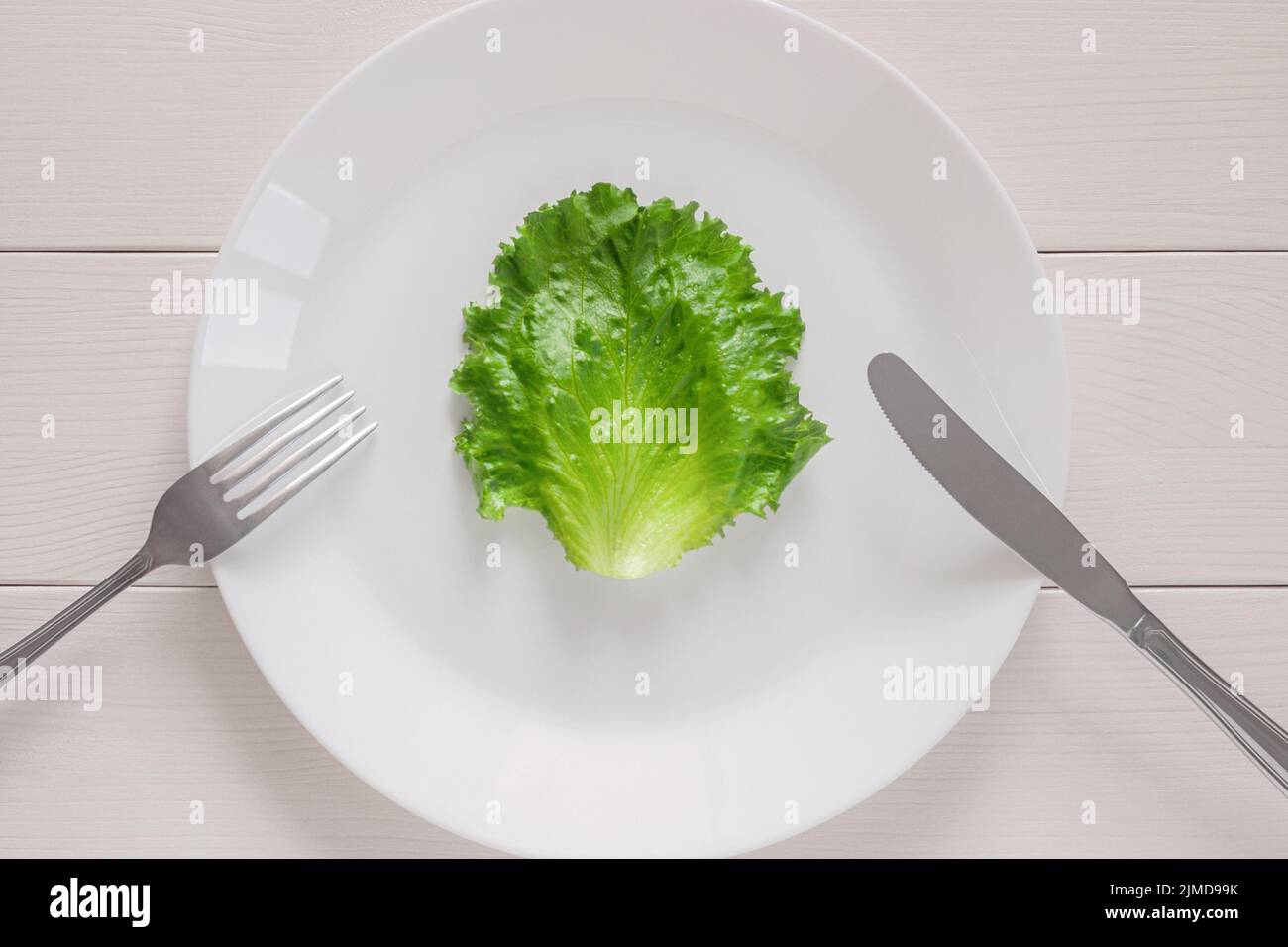 Fork and leaf hi-res stock photography and images - Alamy
