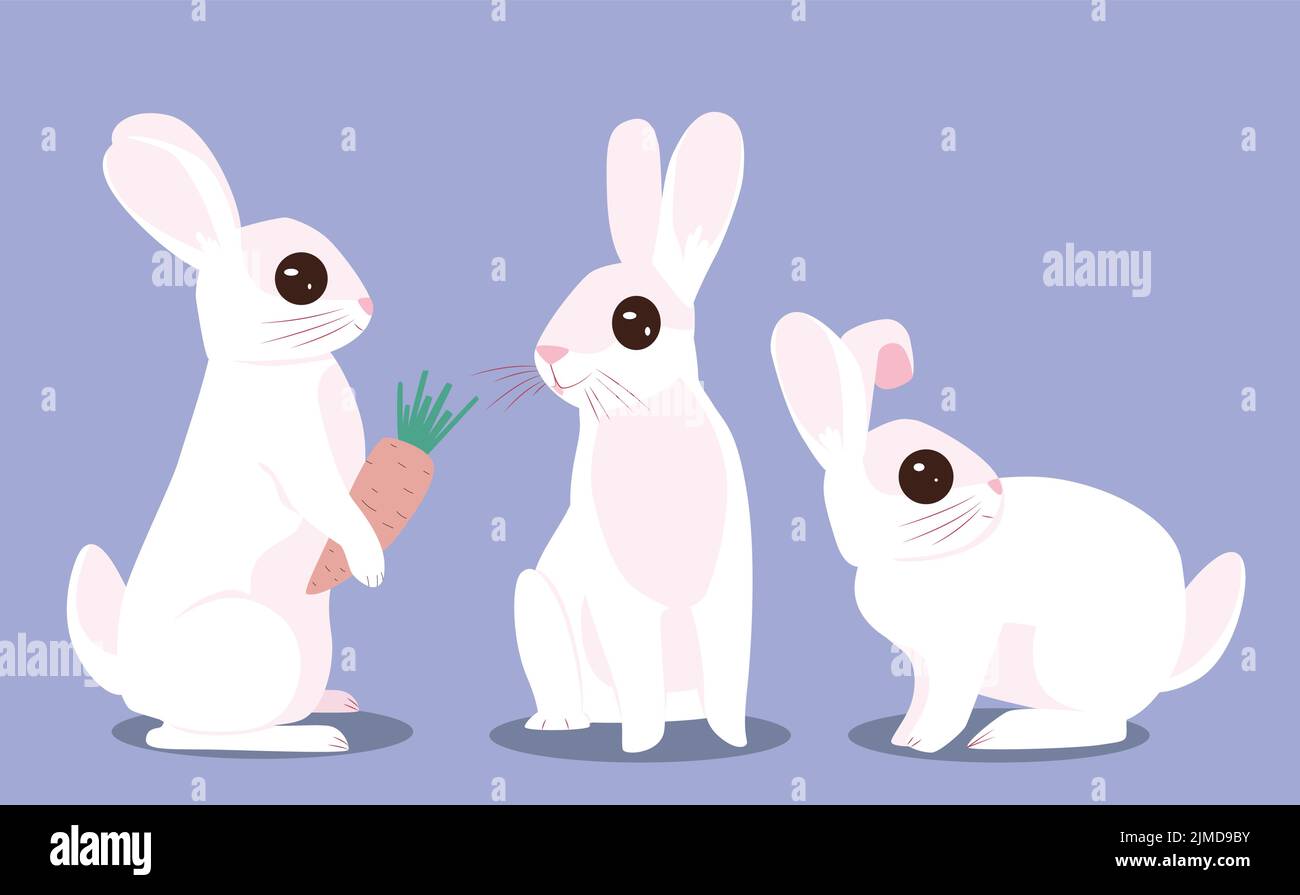Cute three white cartoon rabbits in different poses on a bright purple ...