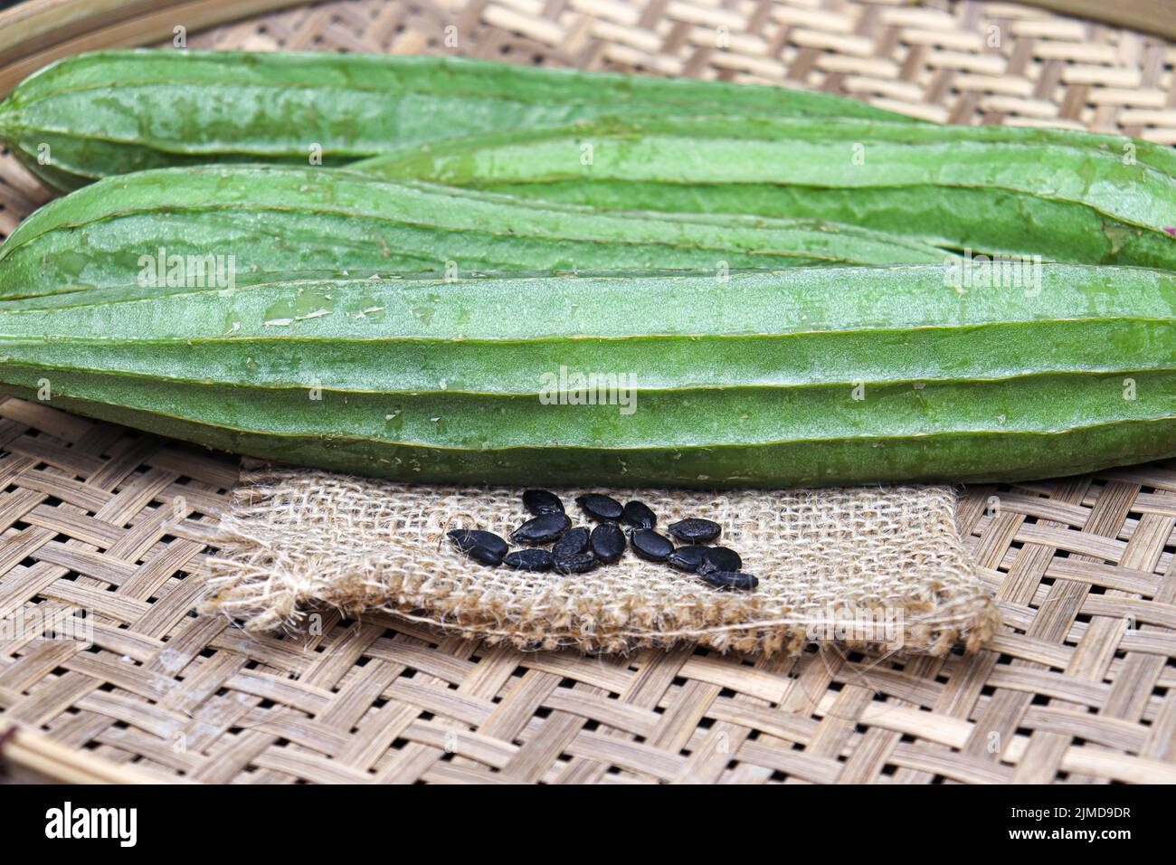 Ridges Gourd stock with seed on farm for farming Stock Photo - Alamy