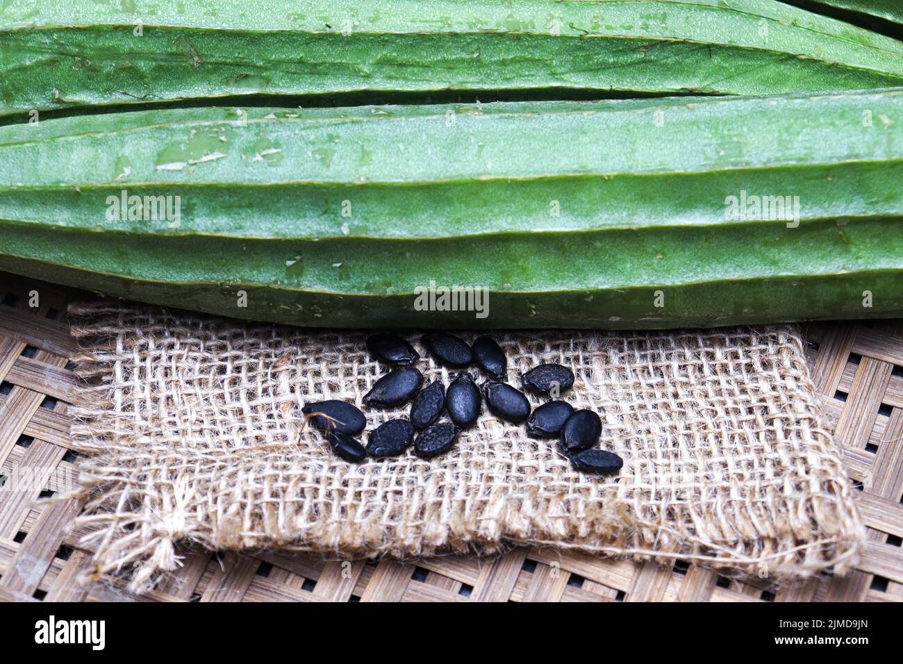 Ridges gourd seed hi-res stock photography and images - Alamy