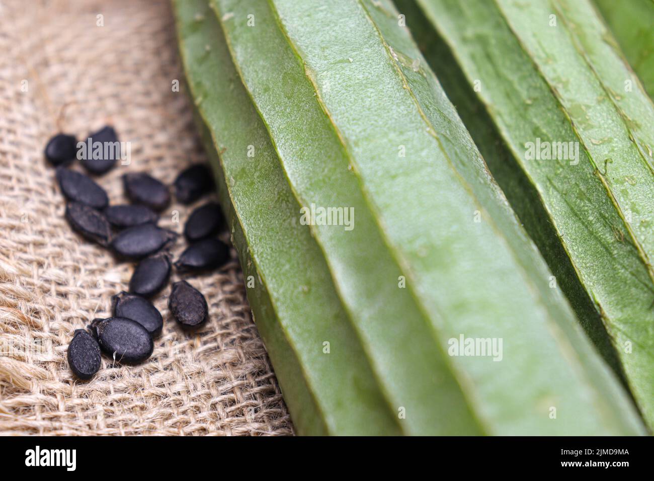 Ridges gourd seed hi-res stock photography and images - Alamy