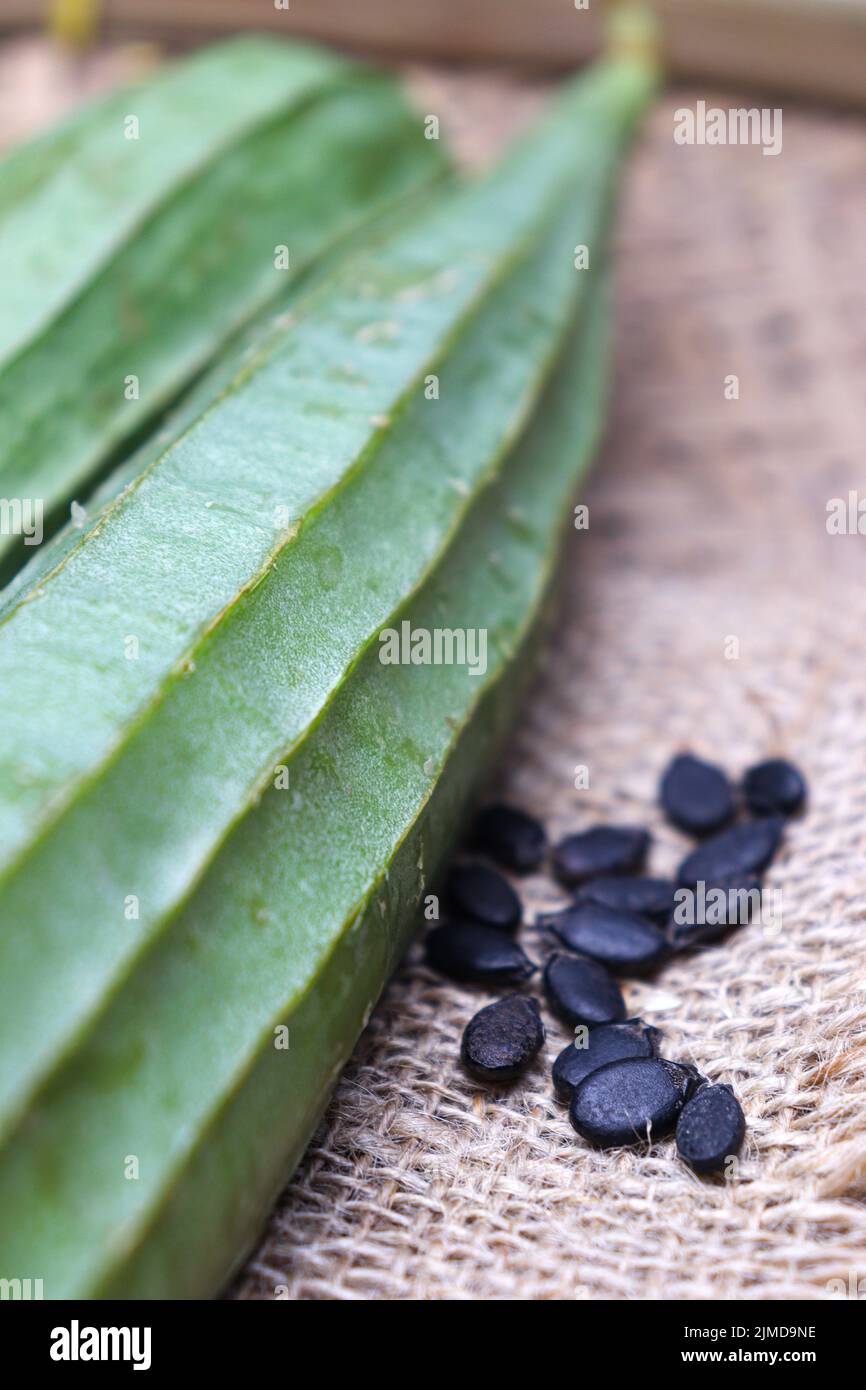 Ridges Gourd stock with seed on farm for farming Stock Photo - Alamy
