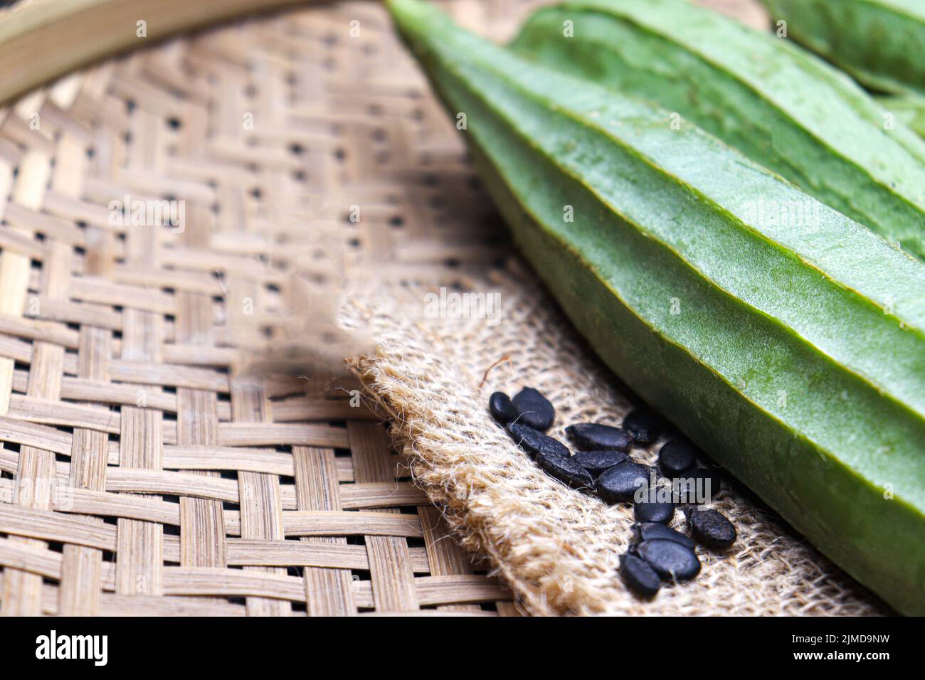 Ridges gourd seed hi-res stock photography and images - Alamy