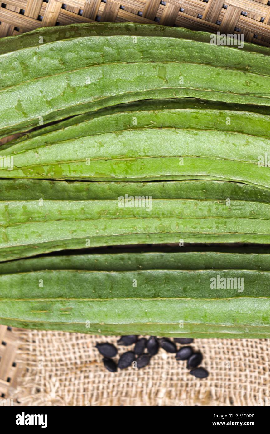 Ridges gourd seed hi-res stock photography and images - Alamy
