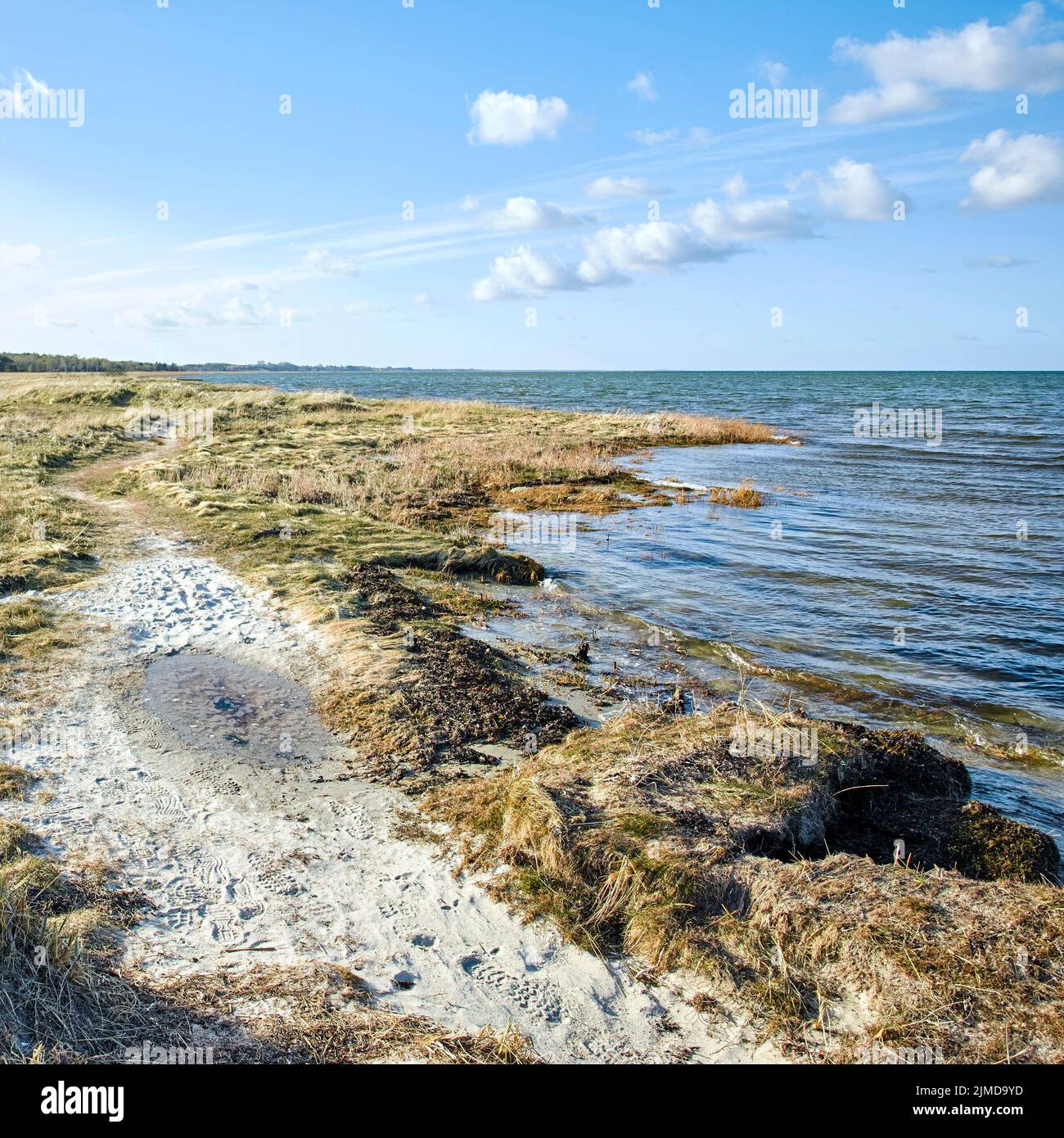 The East coast of Jutland, Denmark. Nature photos from Denmark Stock ...