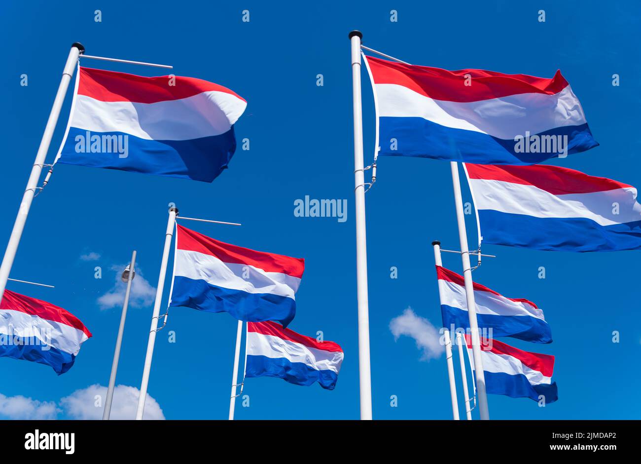 Multiple dutch flags Stock Photo - Alamy
