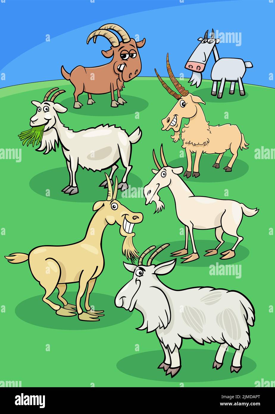 Cartoon illustration of goats farm animal characters in the meadow ...