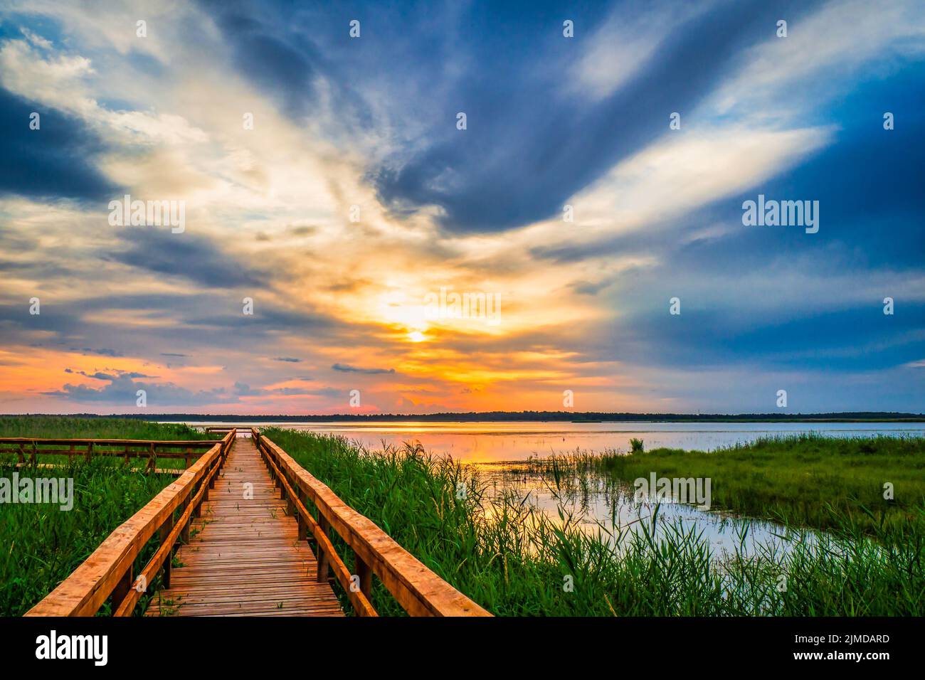 Walk way boardwalk path nature hi-res stock photography and images - Alamy