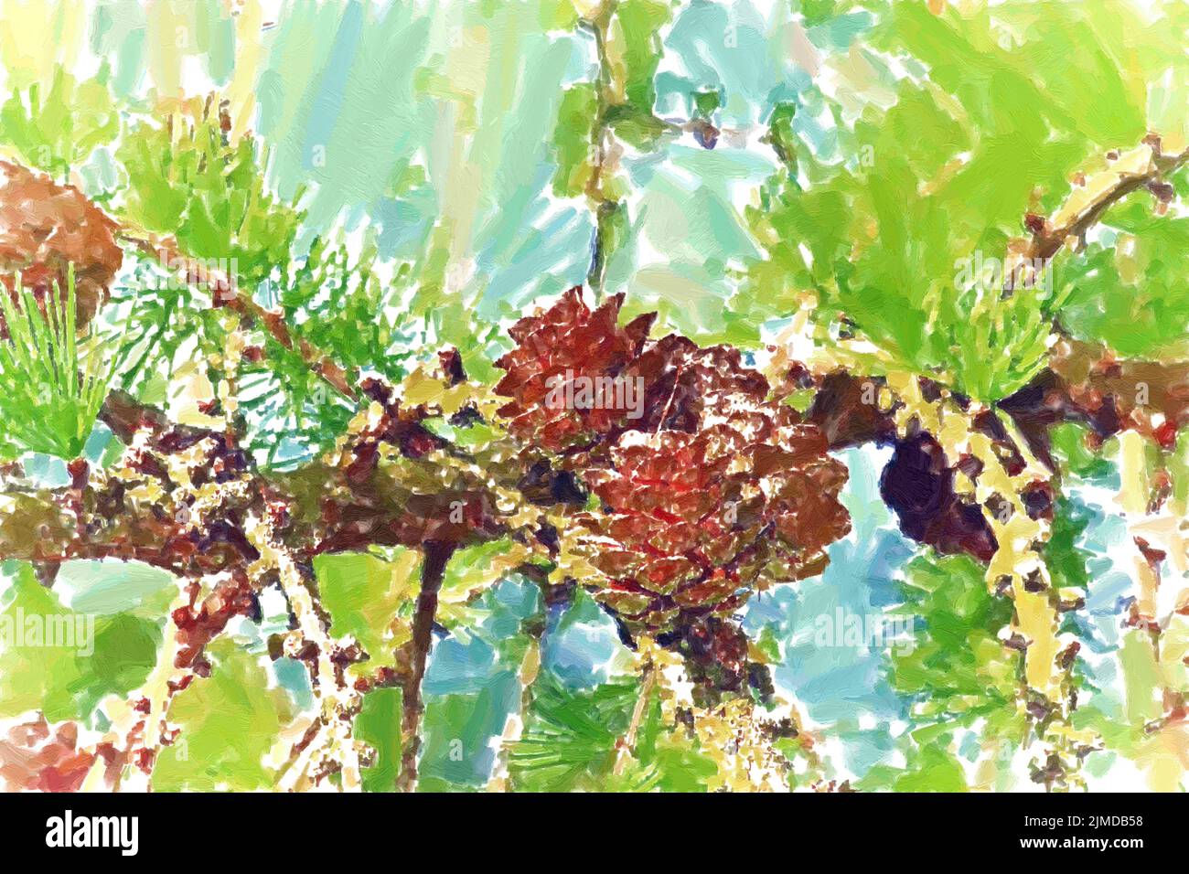 Drawing of larch hi-res stock photography and images - Alamy