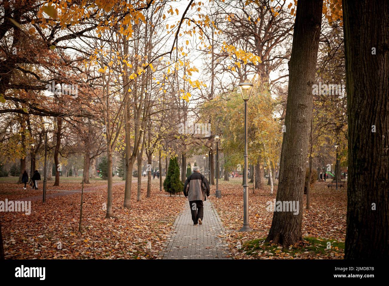 What to do in pancevo hi-res stock photography and images - Alamy