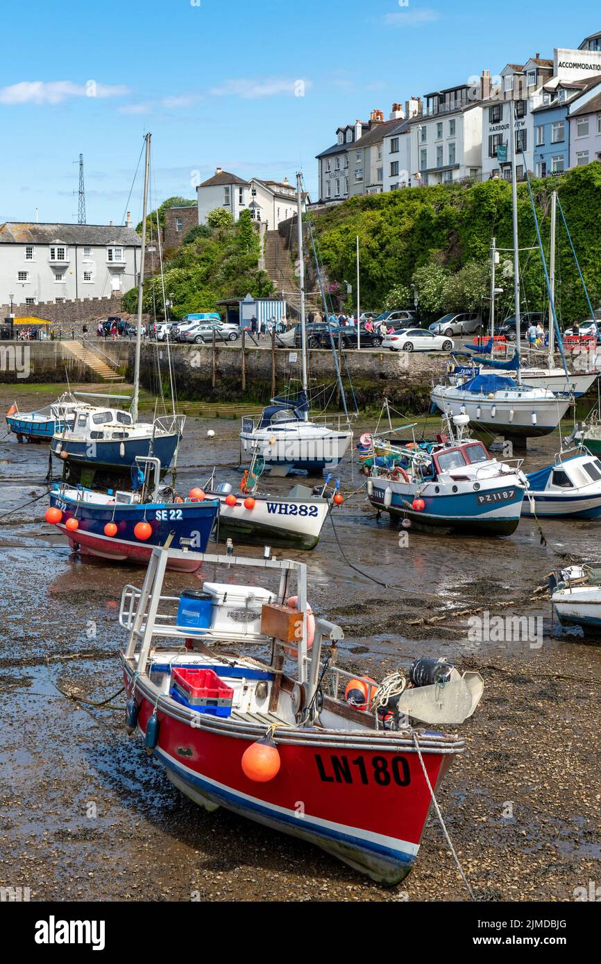 The Harbour, Brixham, Devon, England Stock Photo - Alamy