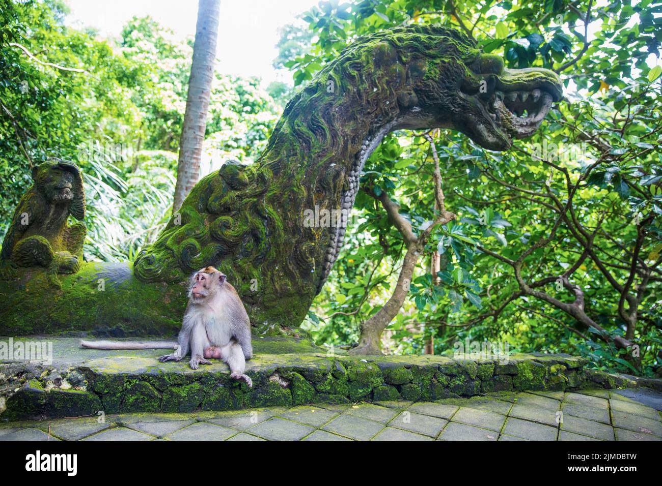 Pensive monkey sitting near the dragon and monkey statue Stock Photo ...