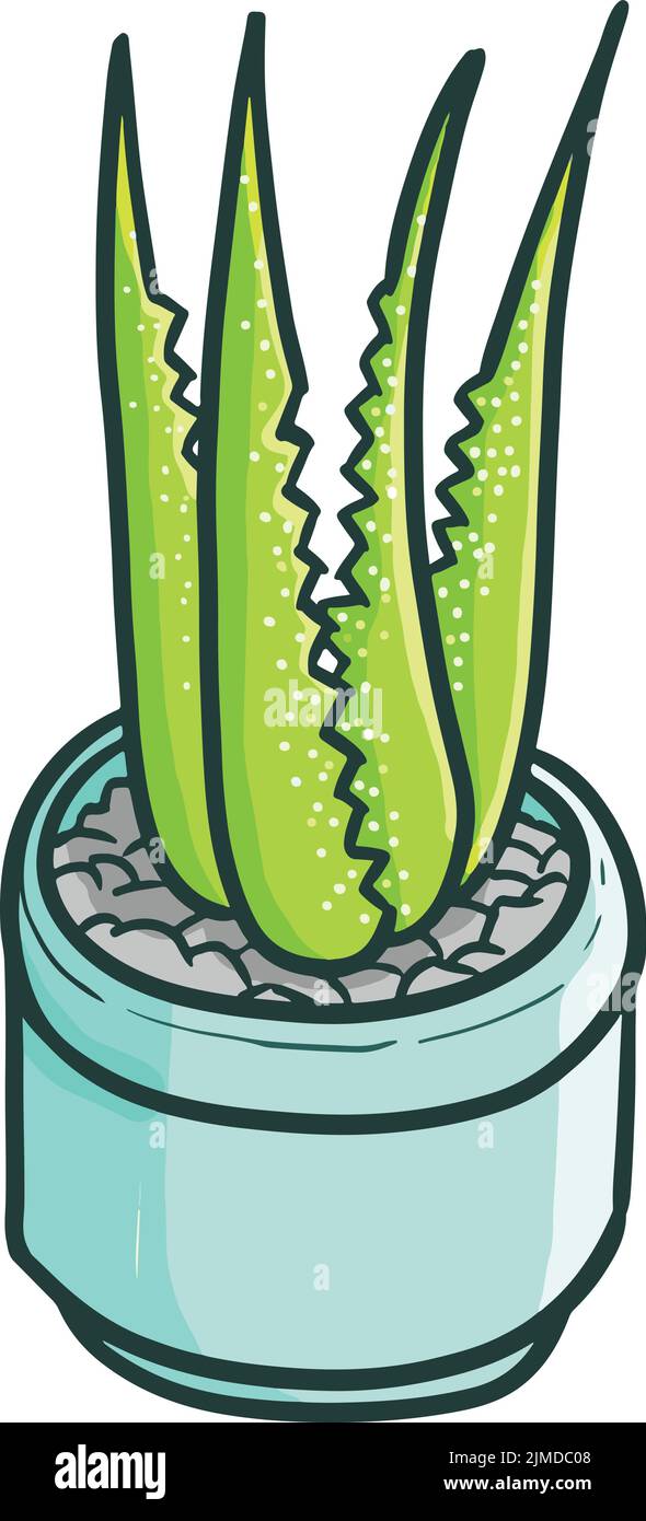 Aloe in white pot Stock Vector Images - Alamy