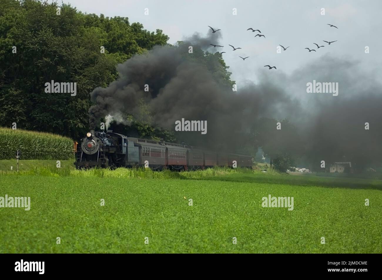 Amish countryside hi-res stock photography and images - Alamy