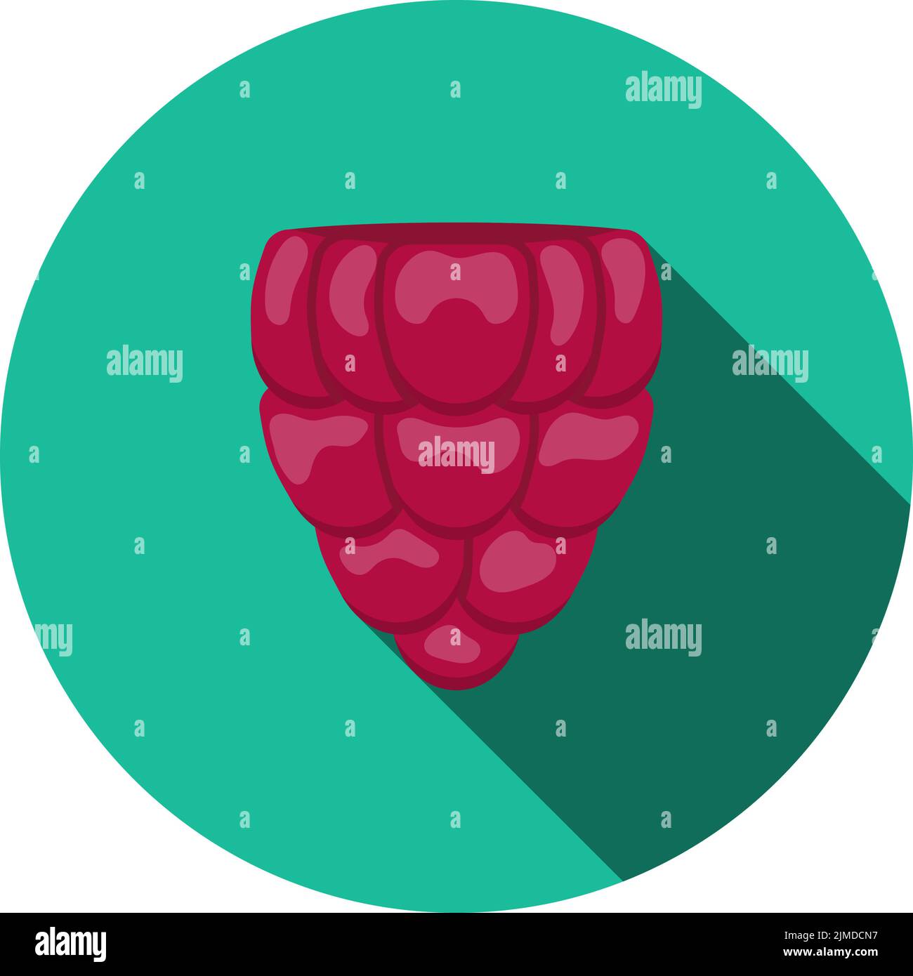 Icon Of Raspberry In Ui Colors. Flat Circle Stencil Design With Long ...