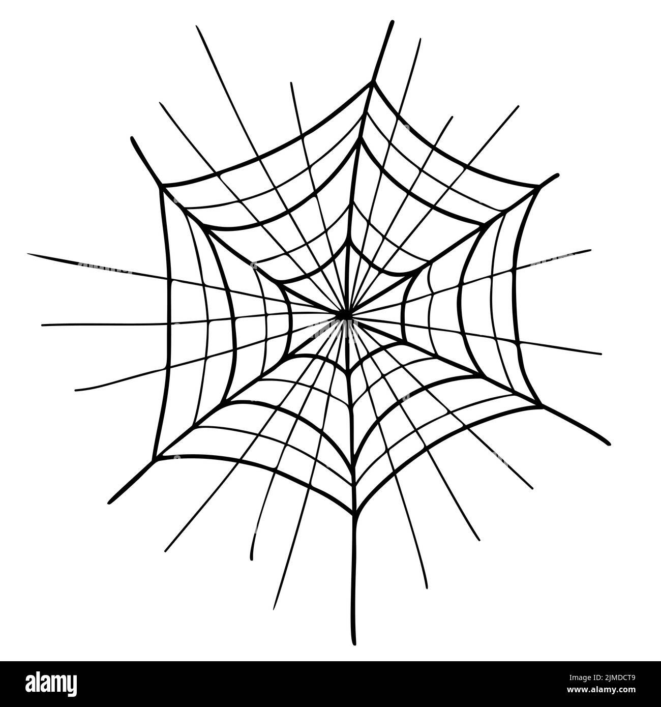Spiderweb. Halloween cobweb. Close up. Linear hand drawing. Vector ...