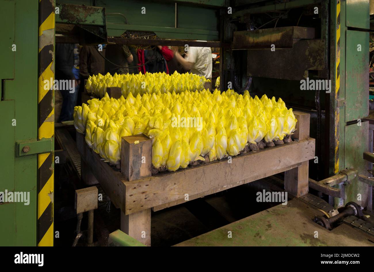 Farm ingredients hi-res stock photography and images - Alamy