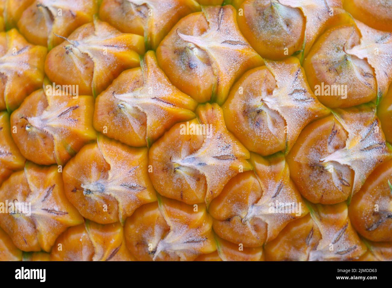a texture background of ripe pineapple peel Stock Photo - Alamy