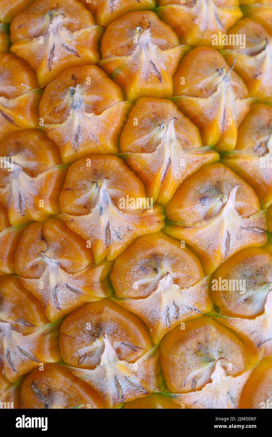 a texture background of ripe pineapple peel Stock Photo - Alamy
