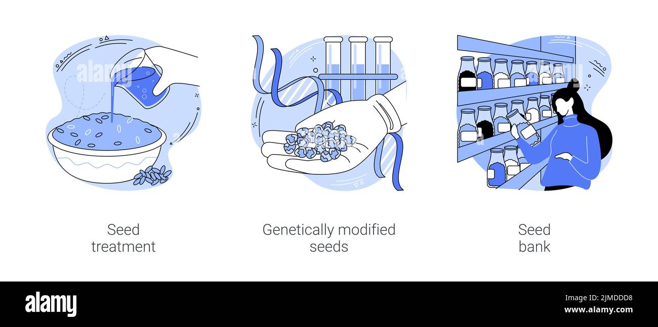 Seed treatment and modification isolated cartoon vector illustrations ...