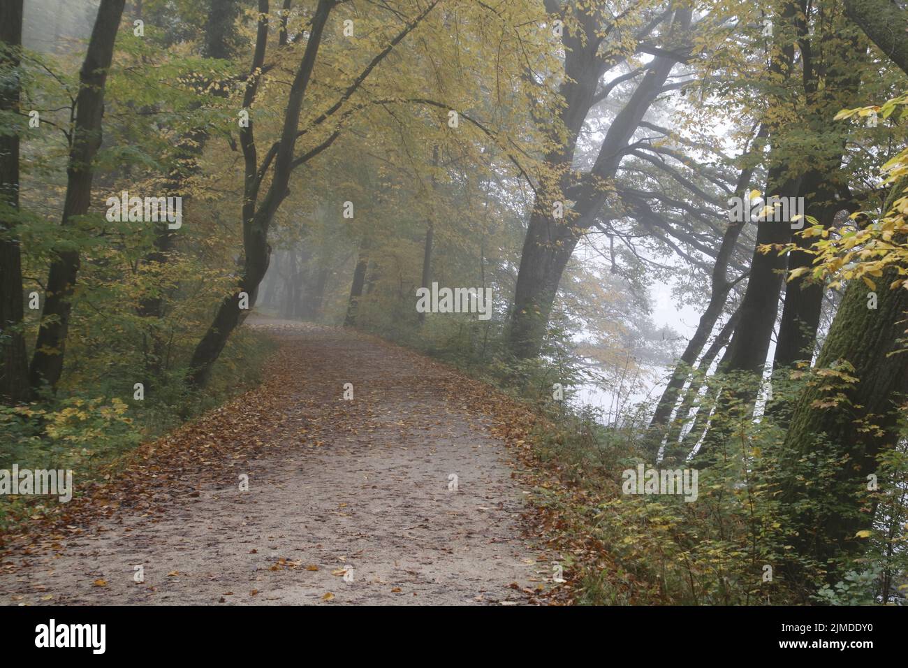 Autumn at regnitz river Stock Photo - Alamy