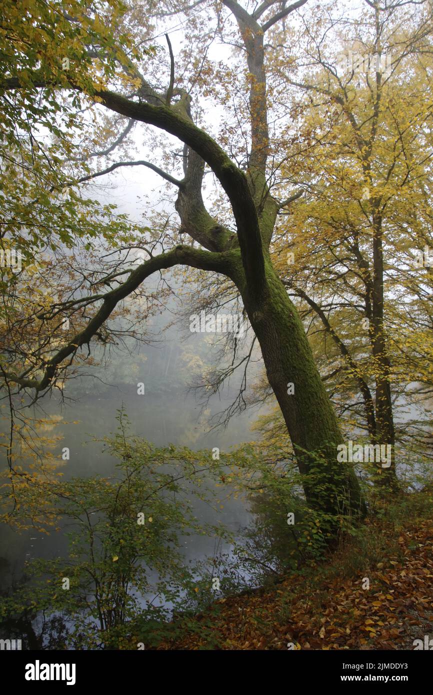 Autumn at regnitz river Stock Photo - Alamy