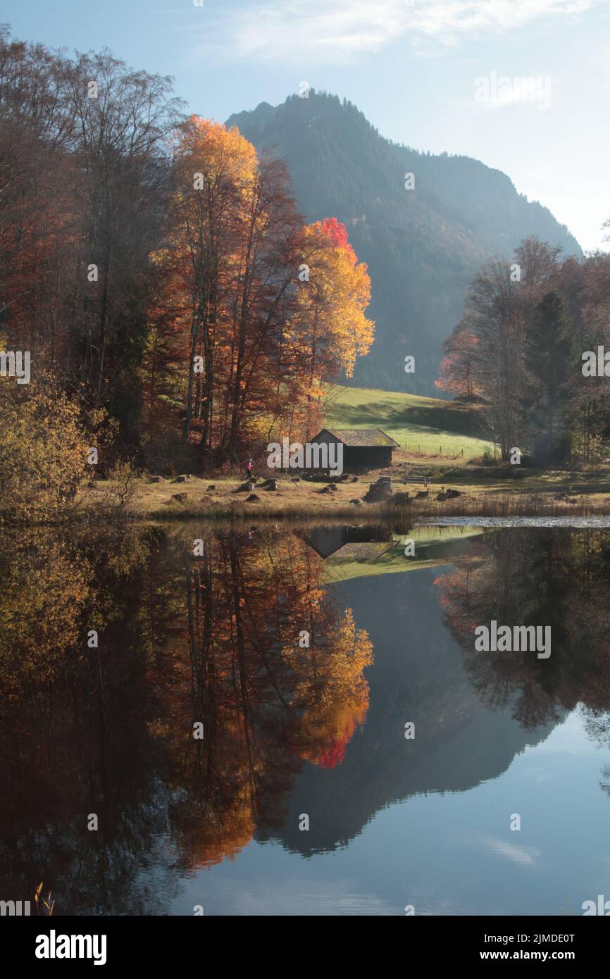 Reflections colourful autumn trees hi-res stock photography and images ...