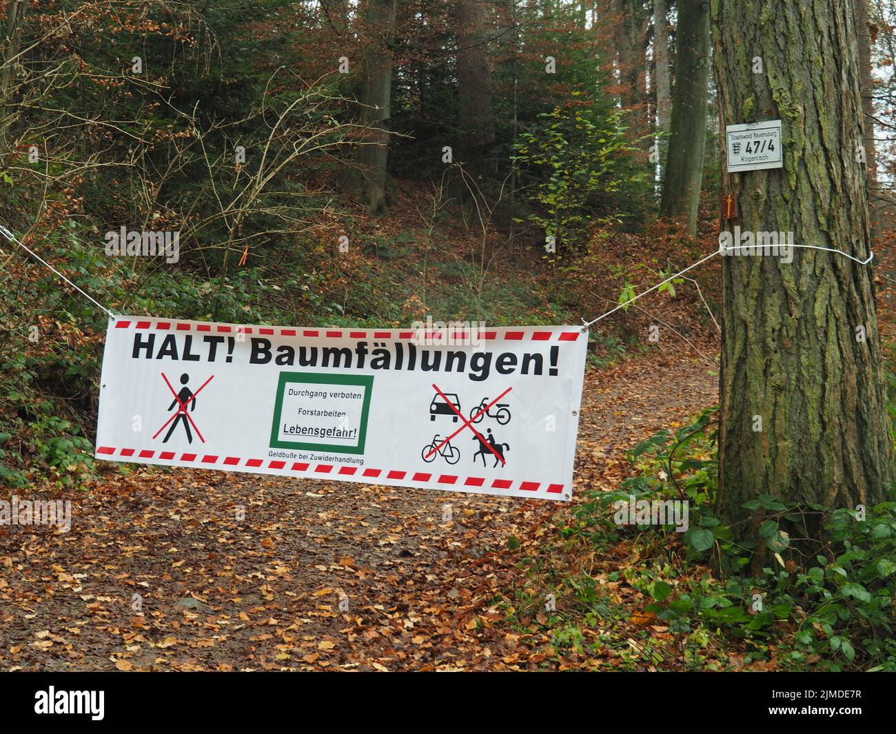Warning, tree felling Stock Photo - Alamy