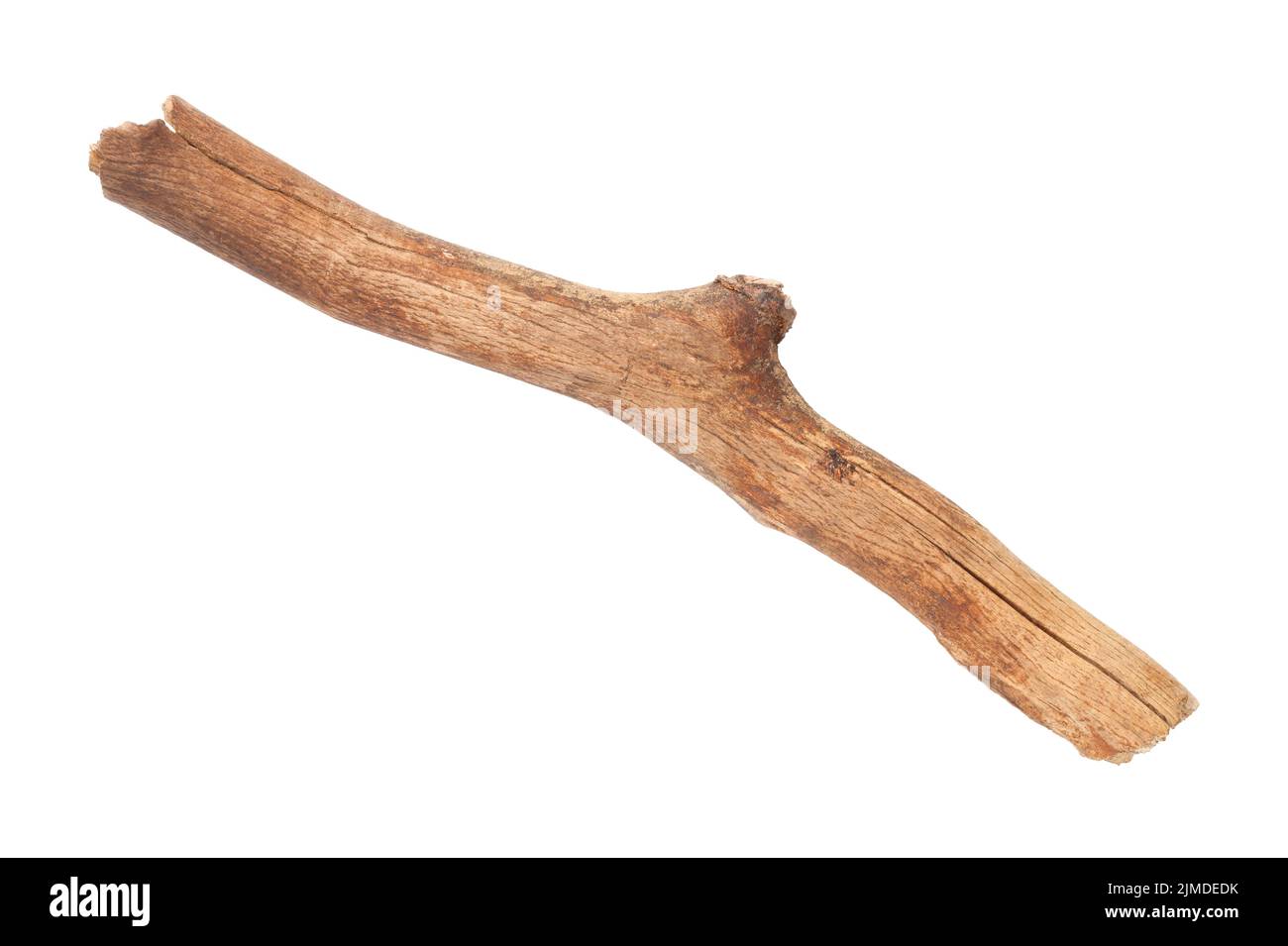 Dry Tree Branch Isolated Over White Background Stock Photo - Alamy