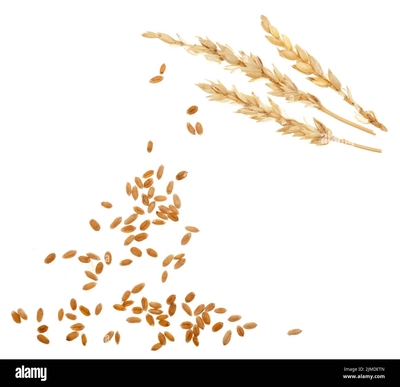 Wheat on white Stock Photo - Alamy