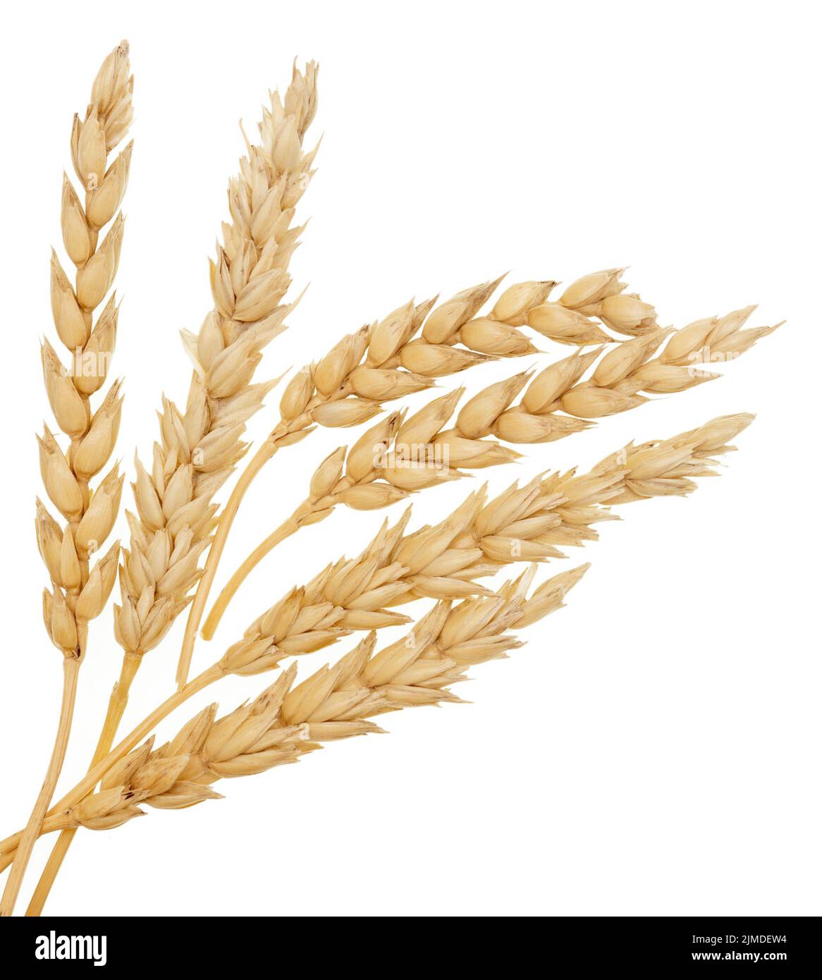 Heap wheat husk hi-res stock photography and images - Alamy