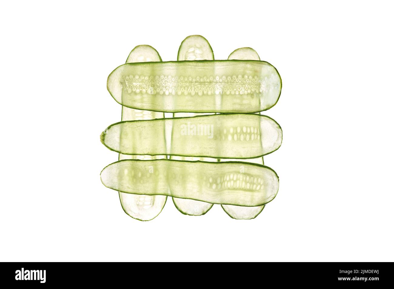 Square pattern from thin transparent slices of natural organic cucumber ...