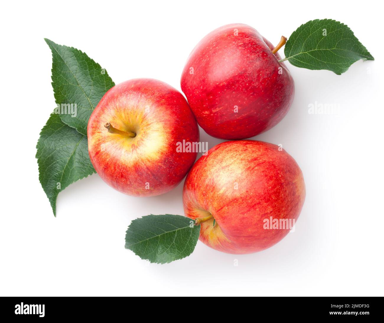 Top view red leaves Cut Out Stock Images & Pictures - Alamy