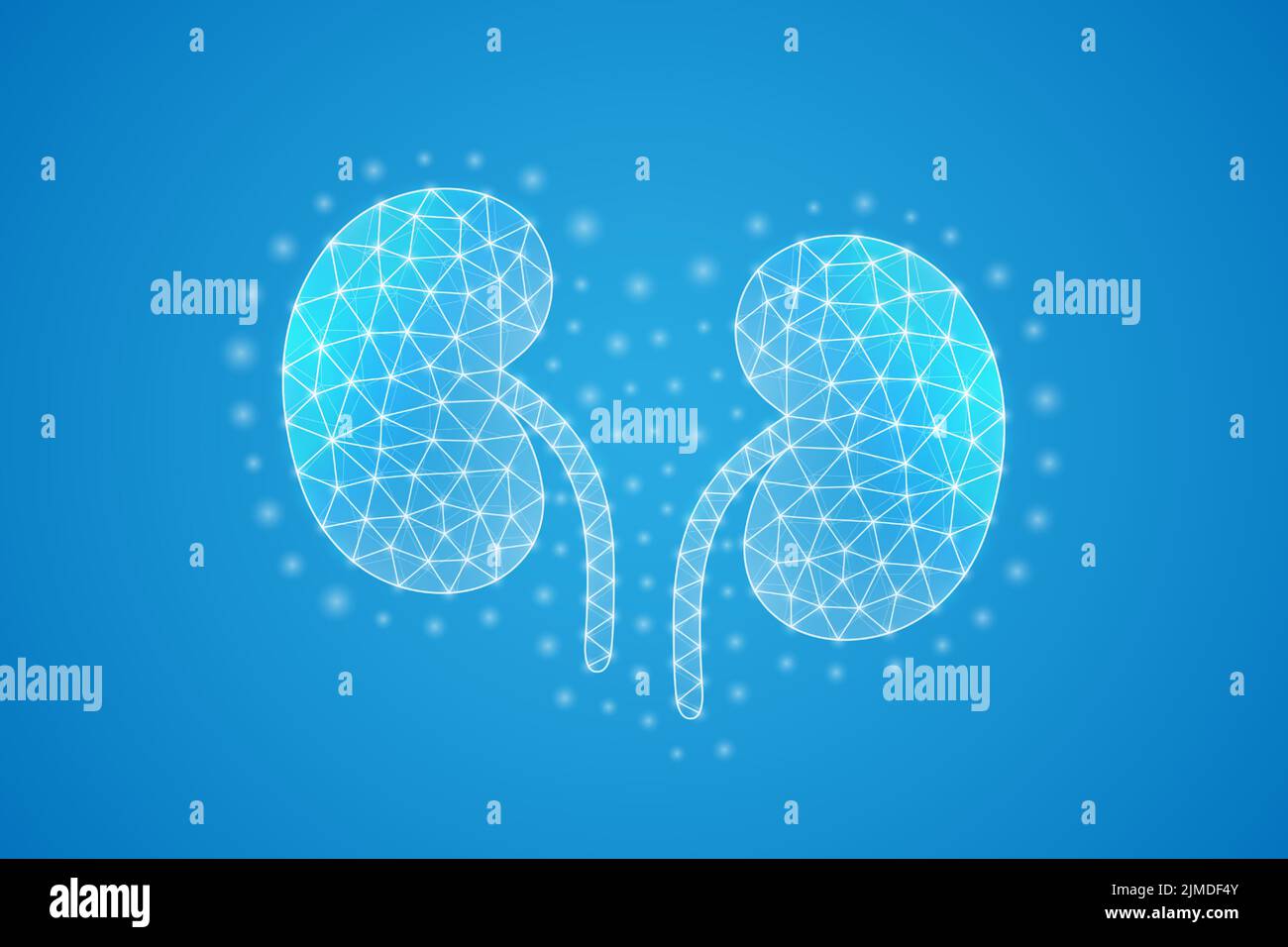 Kidneys low poly symbol with white connected dots. 3d geometric polygonal Internal organ ...