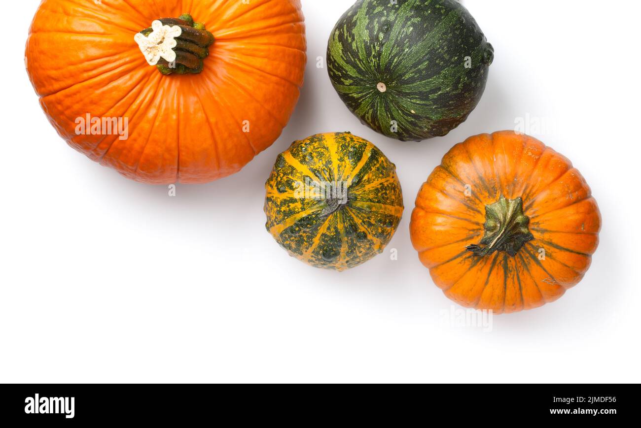 Yellow and white pumpkins hi-res stock photography and images - Alamy