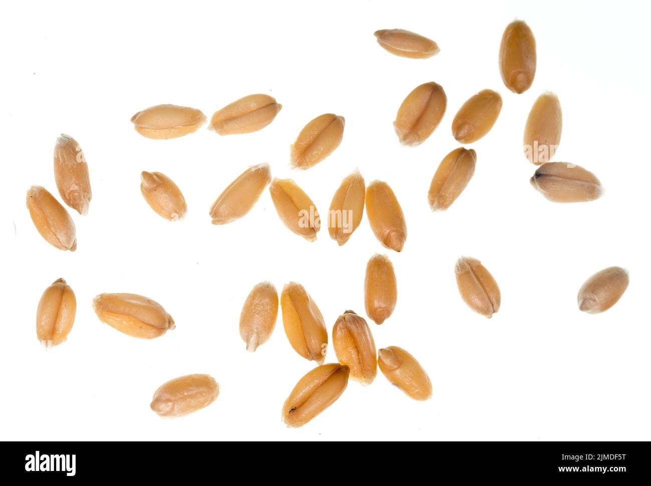 Gold grain Cut Out Stock Images & Pictures - Alamy