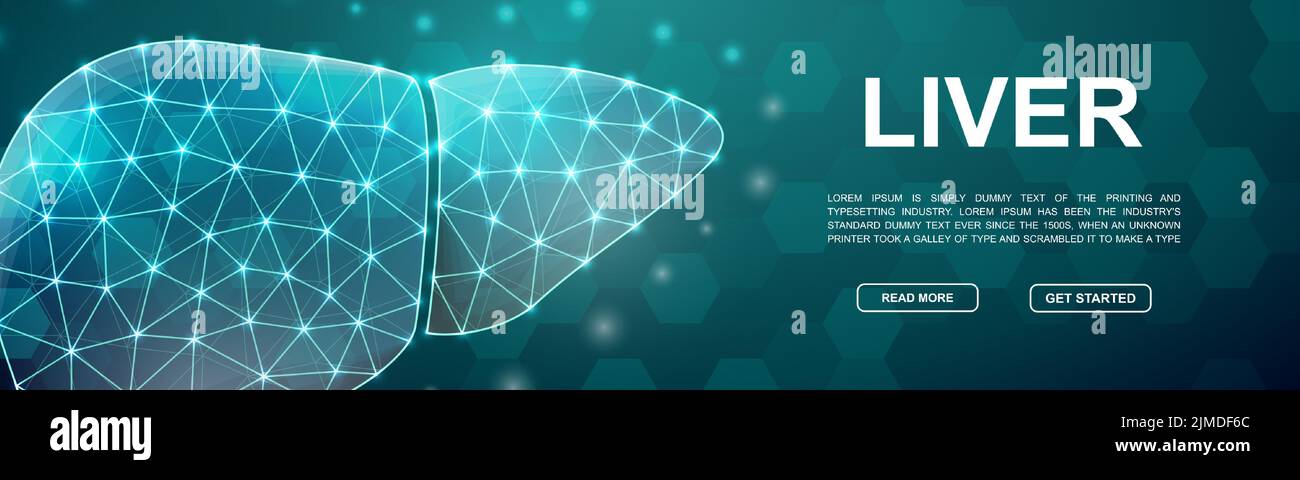Liver 3d low poly symbol for head promotion banner. Hepatitis design illustration concept ...